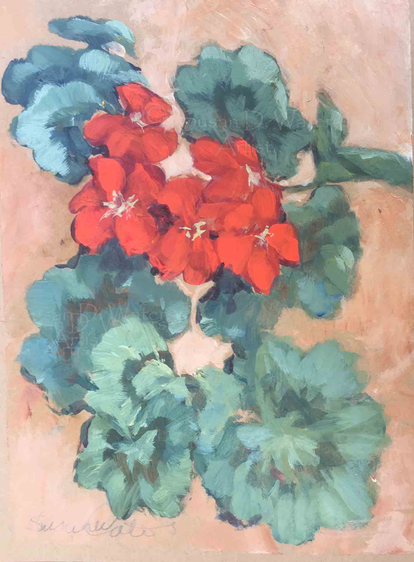 Geraniums – Susan D. Waters: Artist