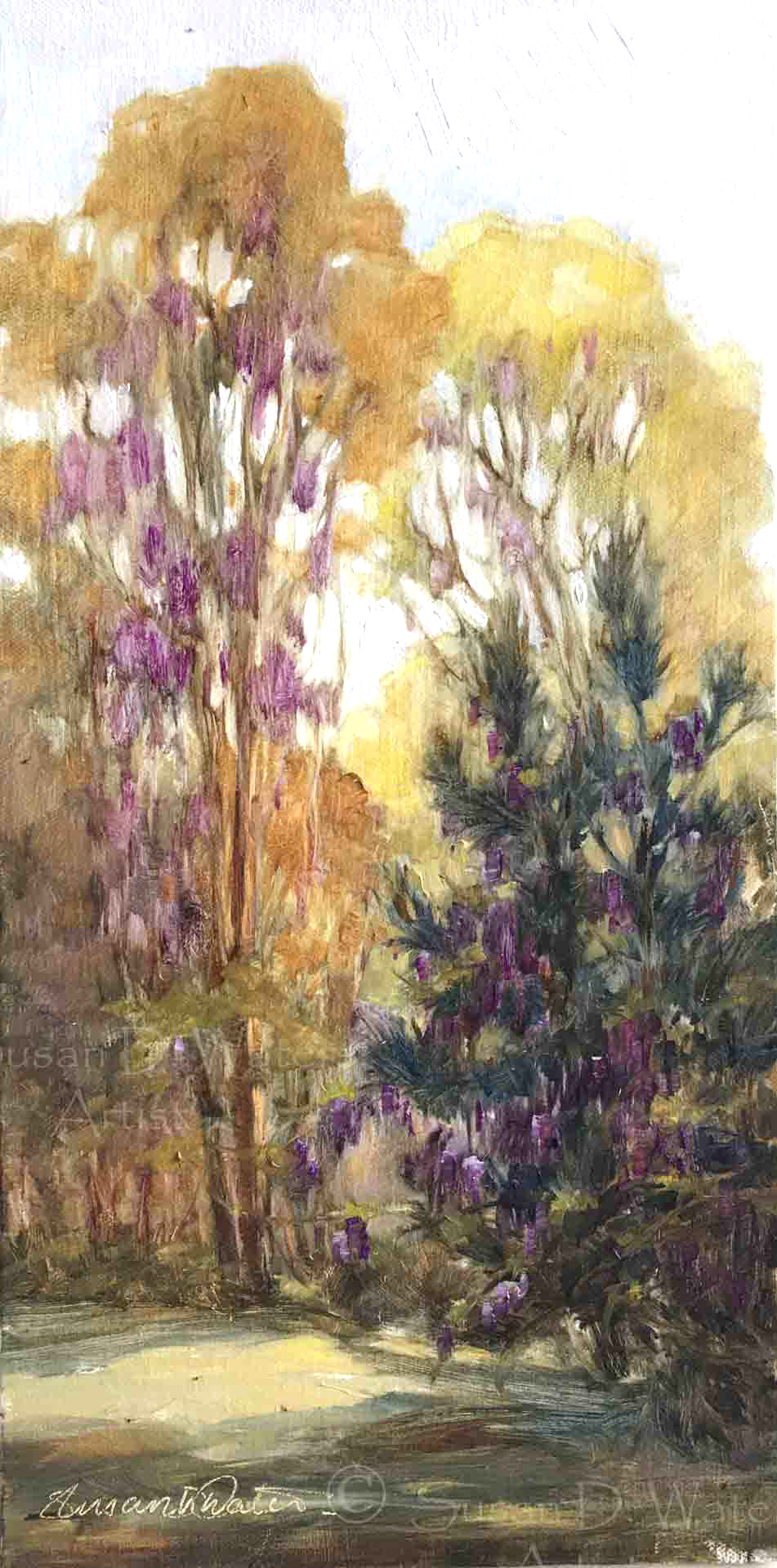 Wisteria II, Susan Duke Waters – Susan D. Waters: Artist
