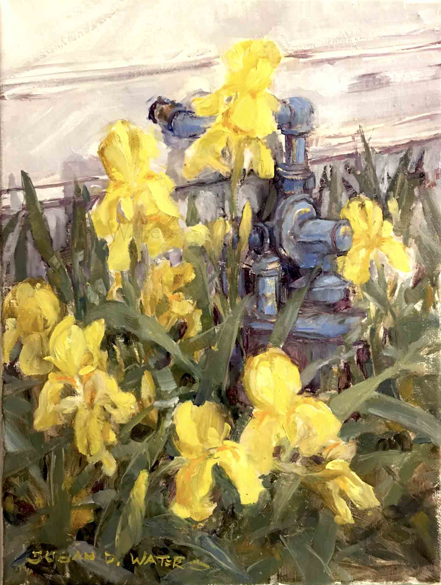 Metered Irises – Susan D. Waters: Artist