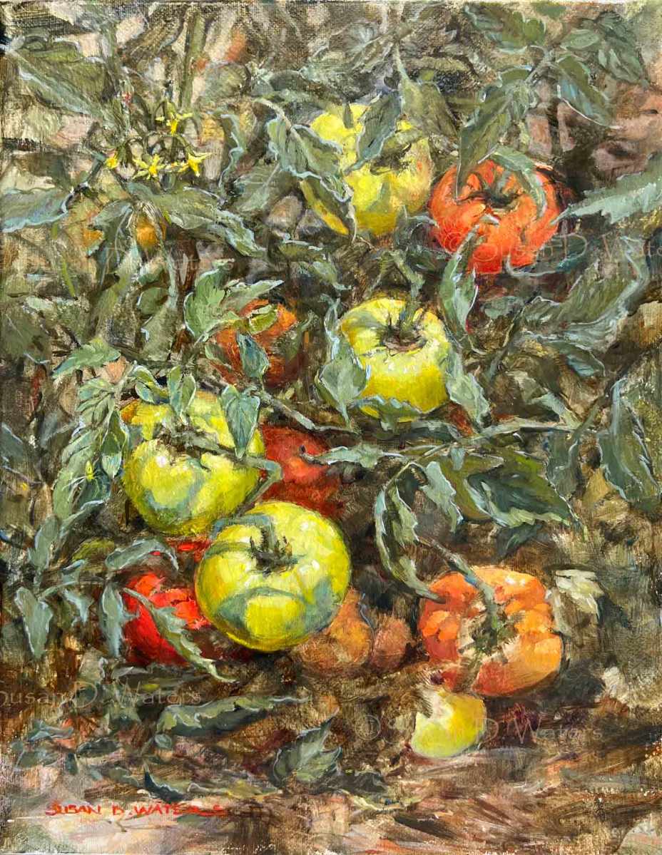 vine-ripened-susan-duke-waters – Susan D. Waters: Artist