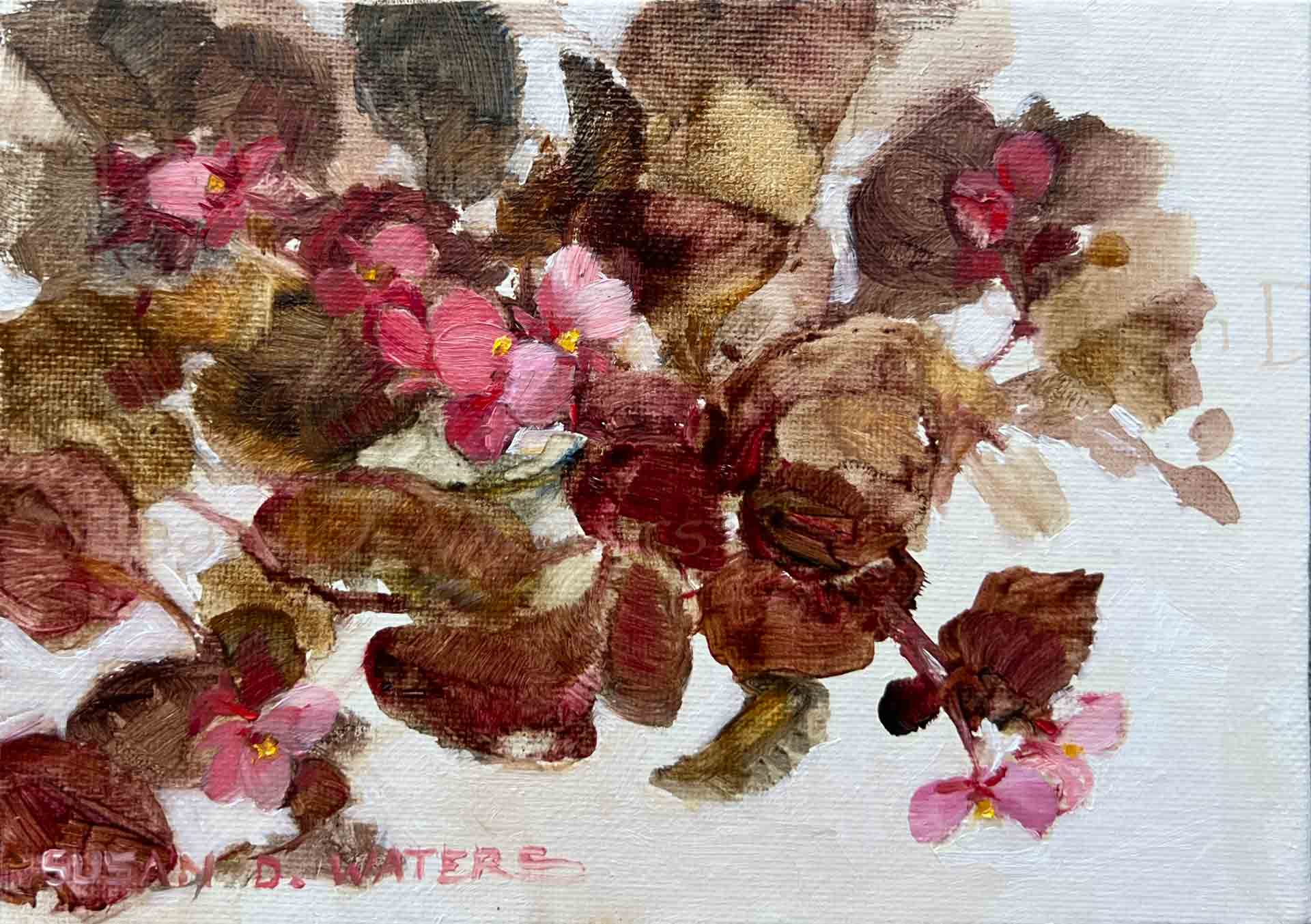 Wax Begonias – Susan D. Waters: Artist