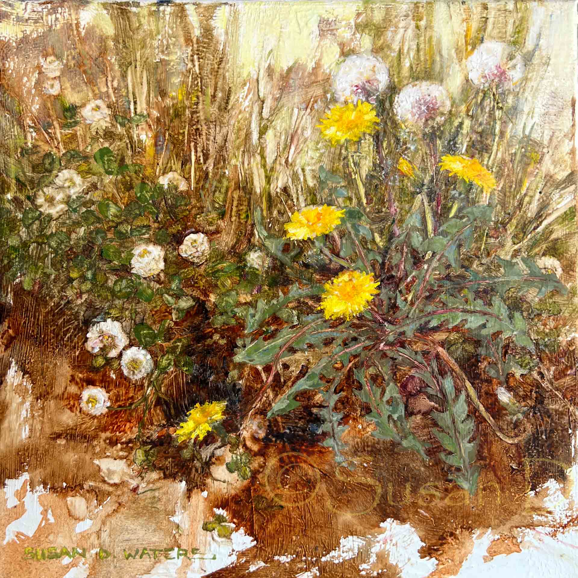 Still Weeding – Susan D. Waters: Artist
