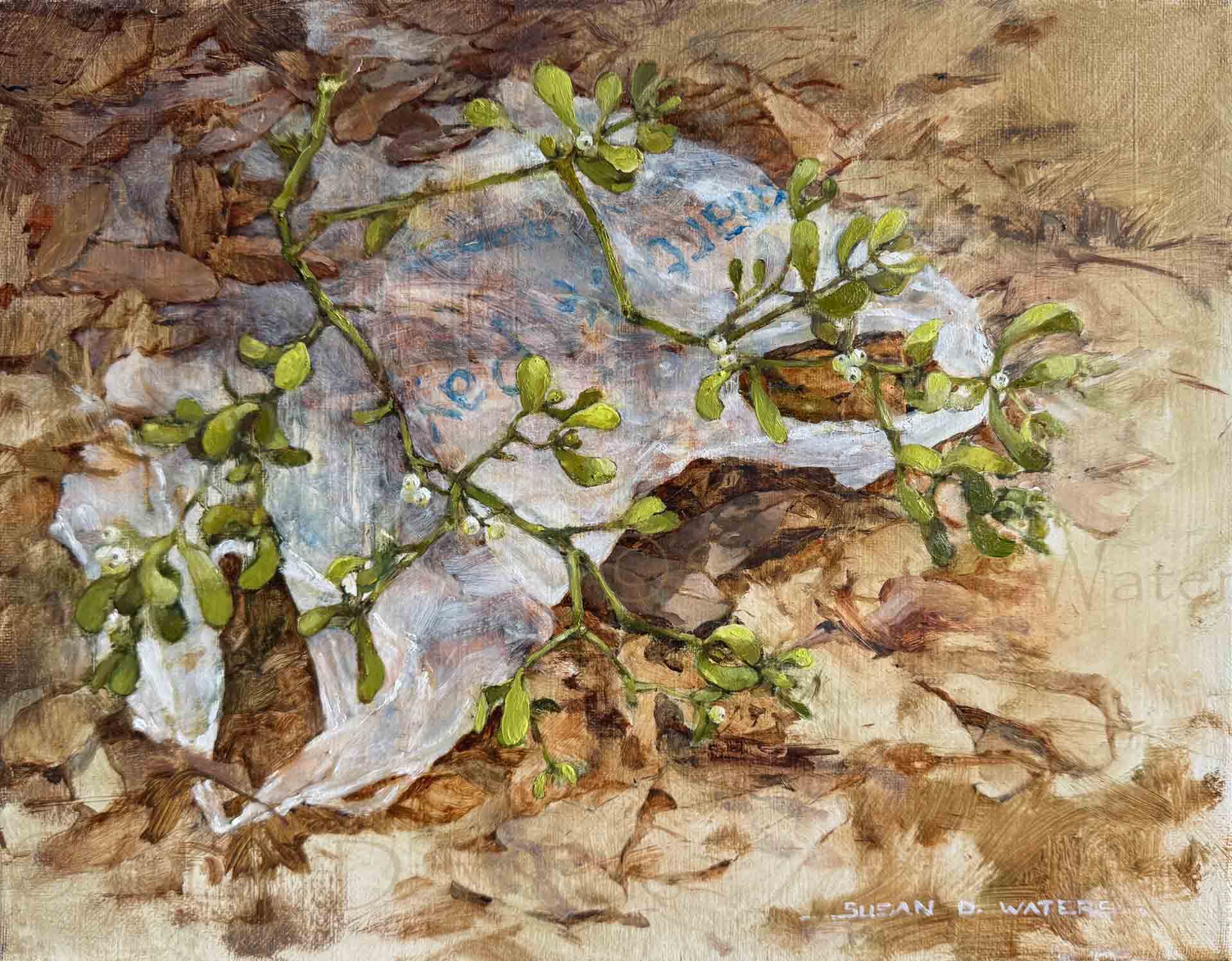 Discarded – Susan D. Waters: Artist