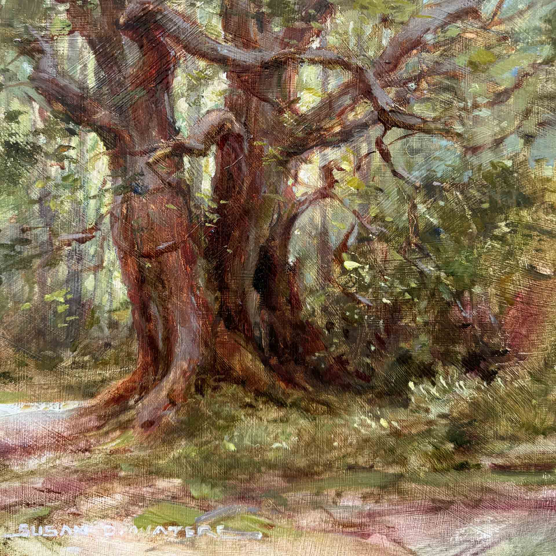 Sentinel – Susan D. Waters: Artist