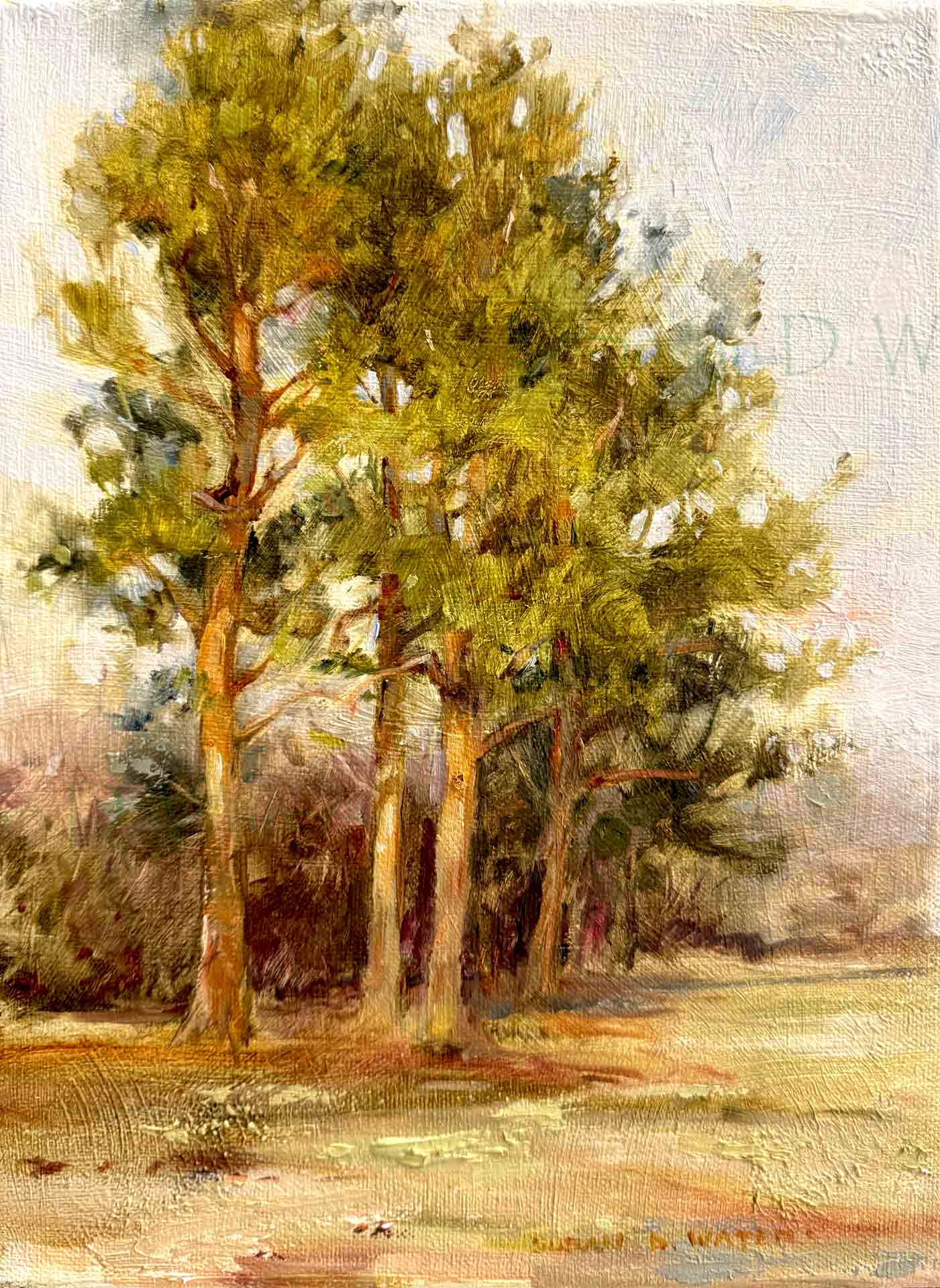 Loblolly Pines – Susan D. Waters: Artist